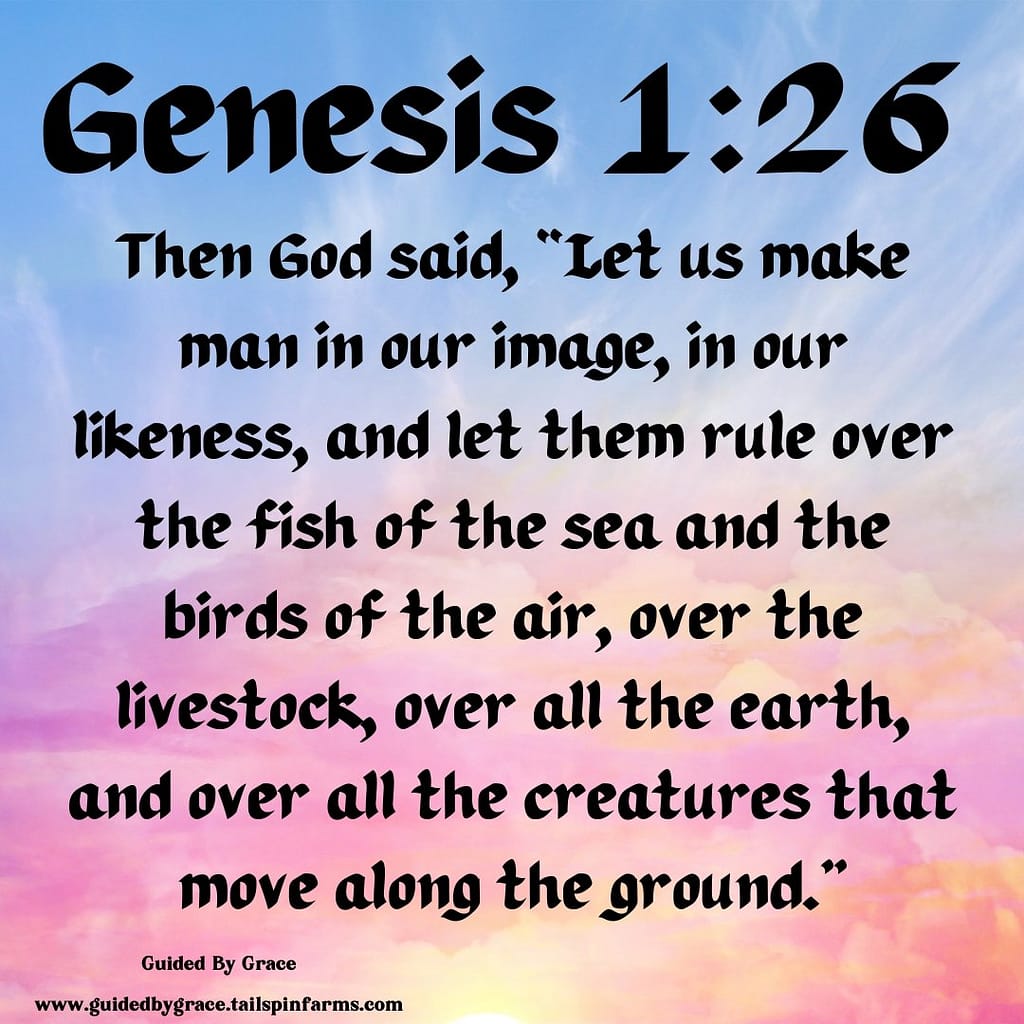 GOD SAID LET US - LET US MAKE MAN / GENESIS 1:26 - Guided By Grace