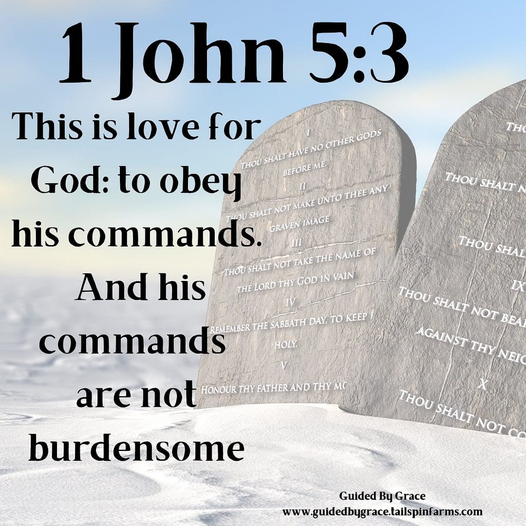 HIS COMMANDS ARE NOT BURDENSOME / 1 JOHN 5:3 - Guided By Grace