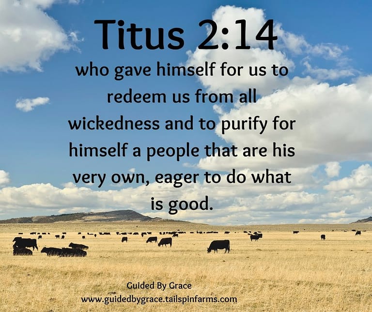 GAVE HIMSELF FOR US / TITUS 2:14 - Guided By Grace