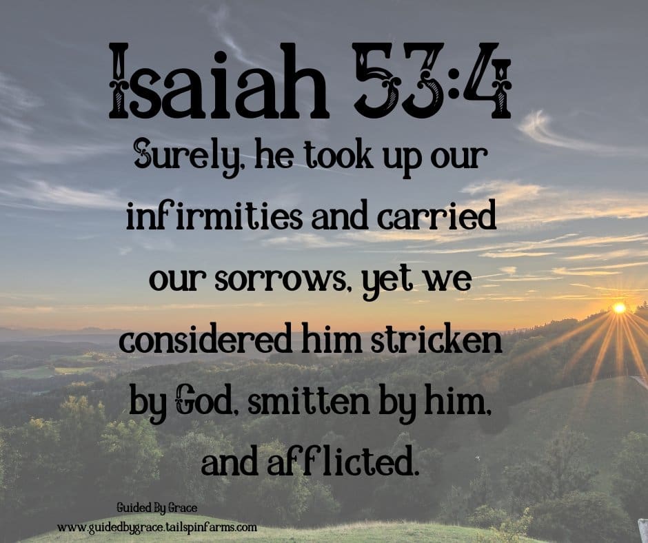 TOOK UP OUR INFIRMITIES / ISAIAH 53:4 - Guided By Grace
