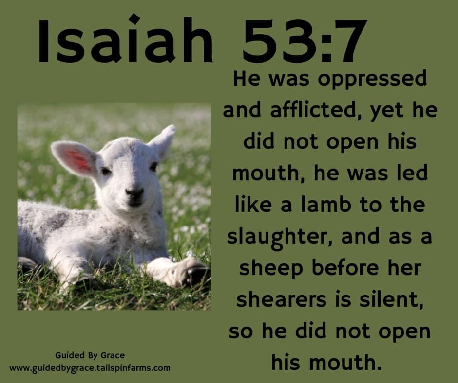 LIKE A LAMB TO THE SLAUGHTER / ISAIAH 53:7 - Guided By Grace