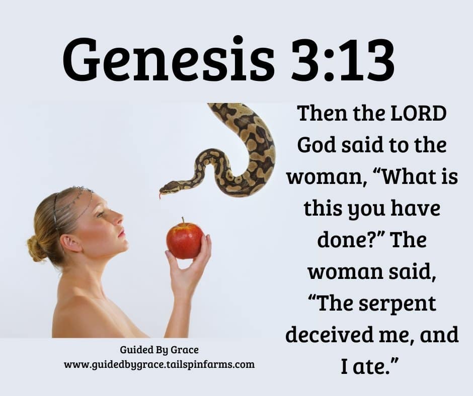 THE SERPENT DECEIVED ME / GENESIS 3:13 - Guided By Grace