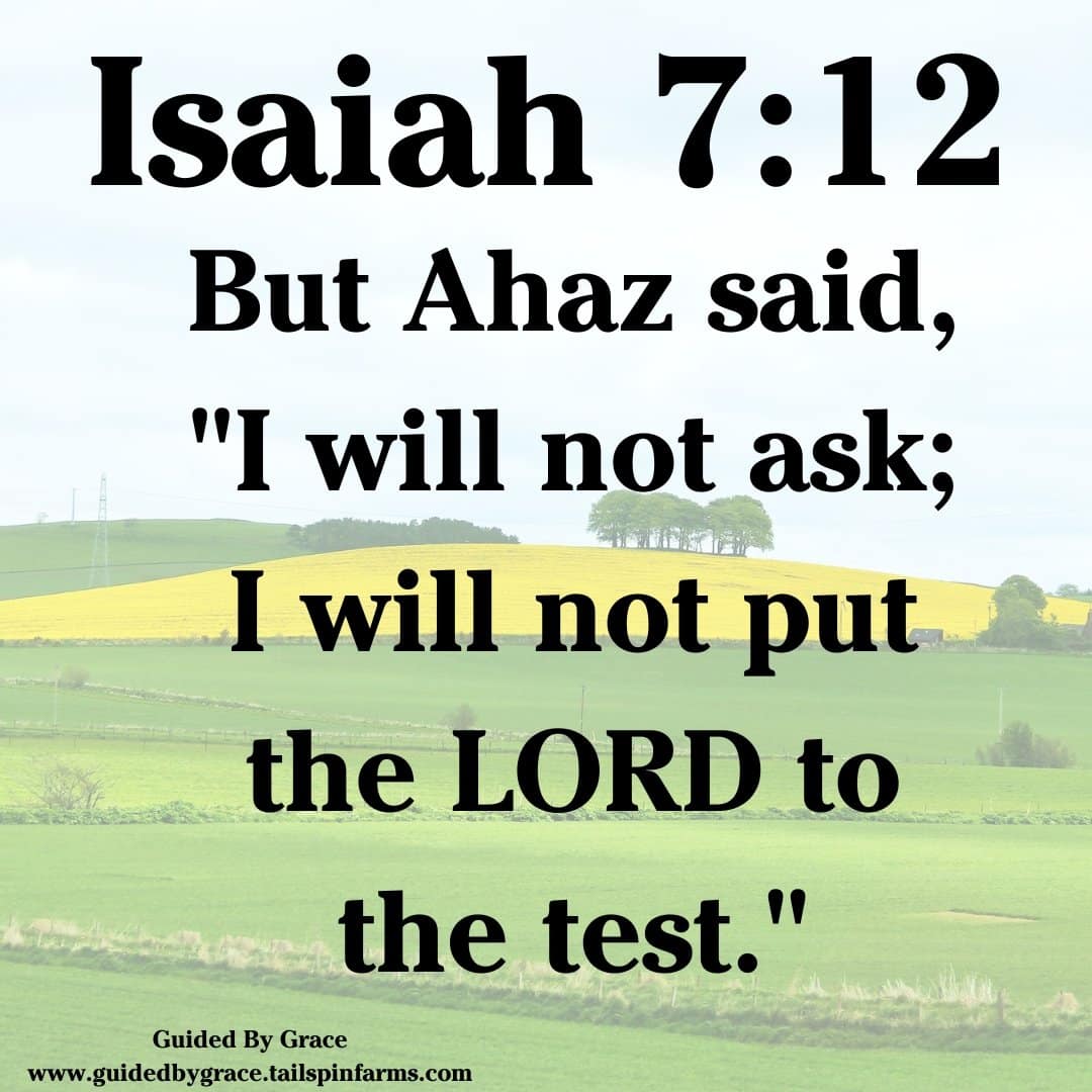 I WILL NOT ASK / ISAIAH 7:12 - Guided By Grace