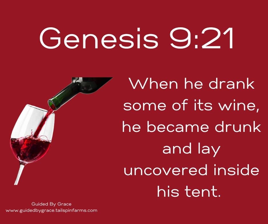 DRANK SOME OF ITS WINE, HE BECAME DRUNK / GENESIS 9:21 - Guided By Grace