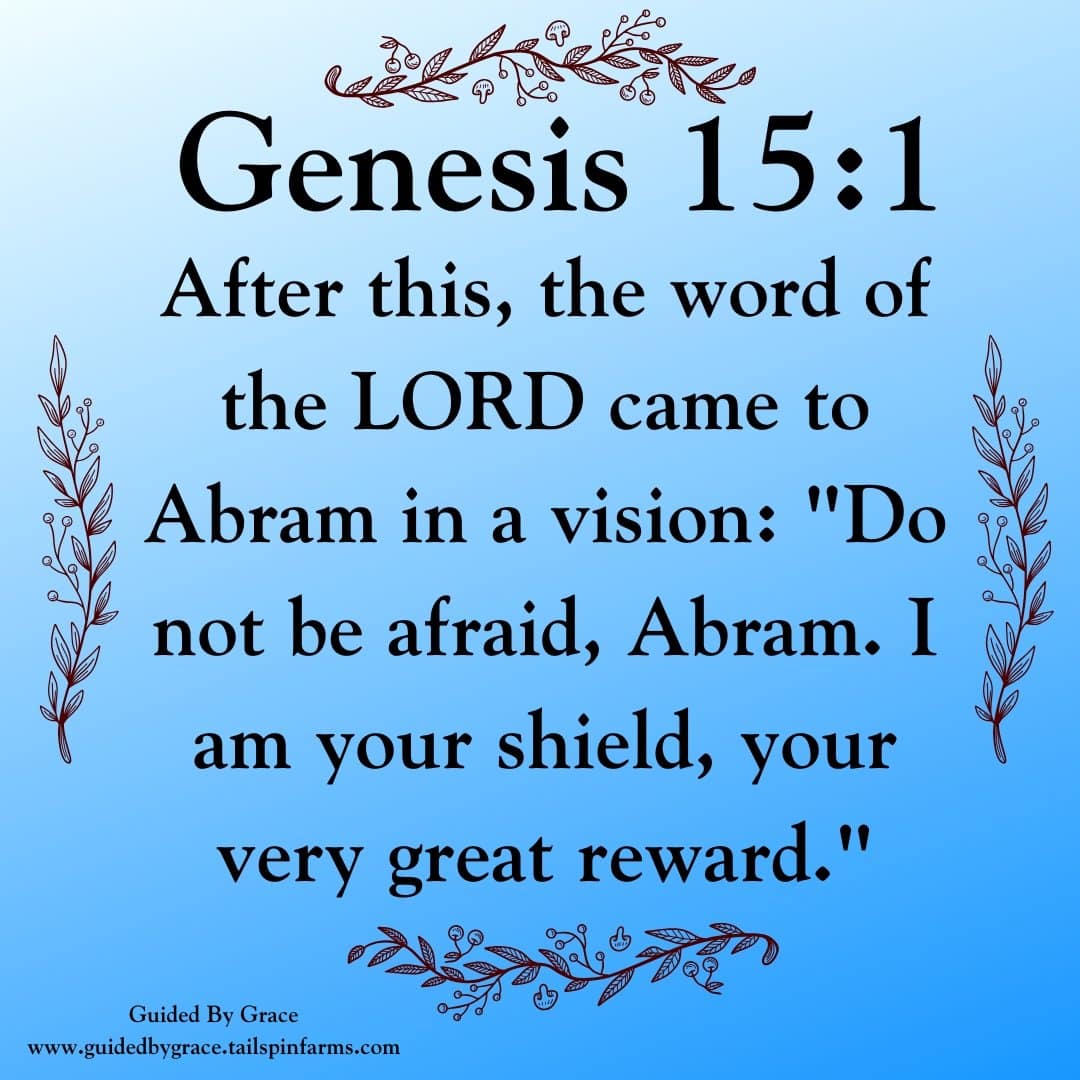 YOUR SHIELD, YOUR VERY GREAT REWARD / GENESIS 15:1 - Guided By Grace