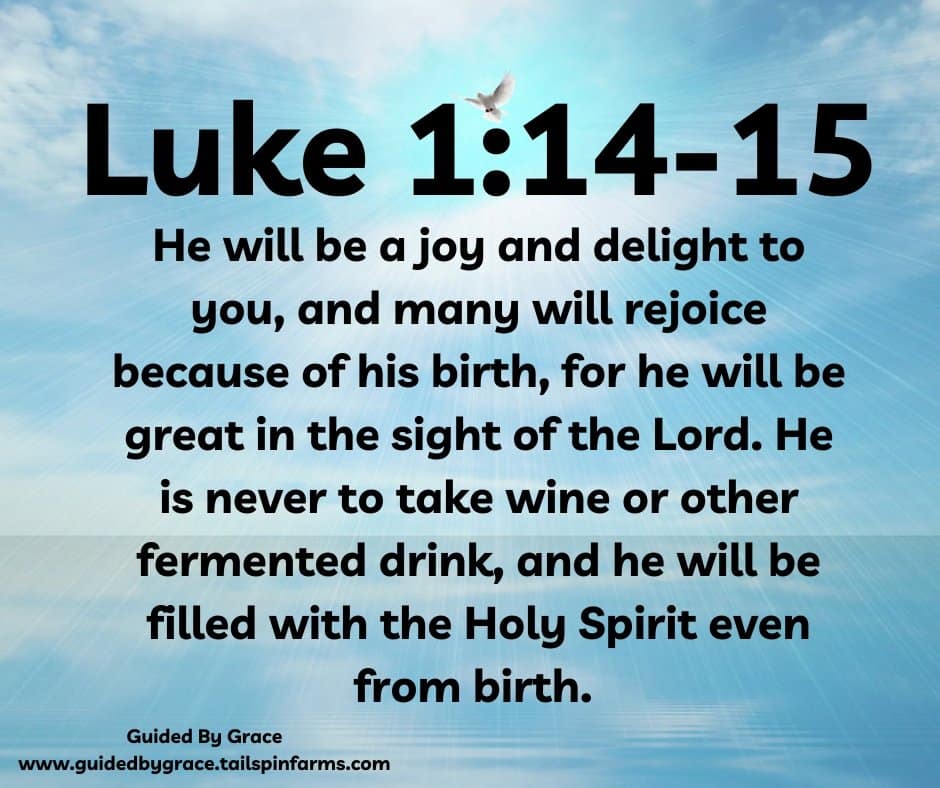 FILLED WITH THE HOLY SPIRIT - WINE ... FERMENTED DRINK / LUKE 1:15 ...