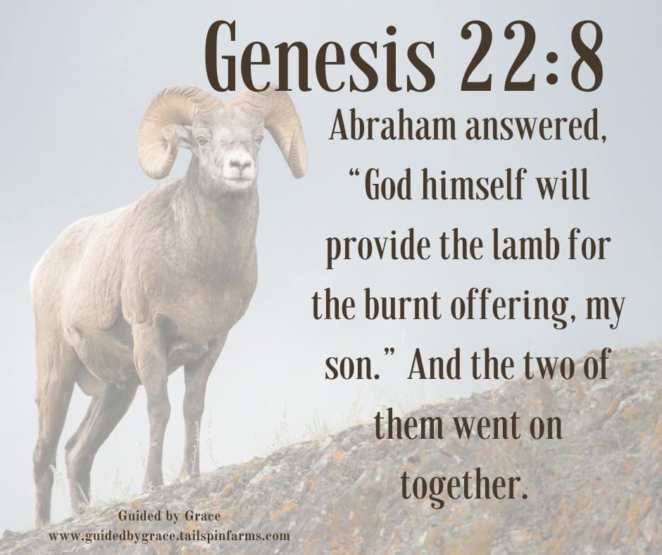 GOD HIMSELF WILL PROVIDE / GENESIS 22:8 - Guided By Grace