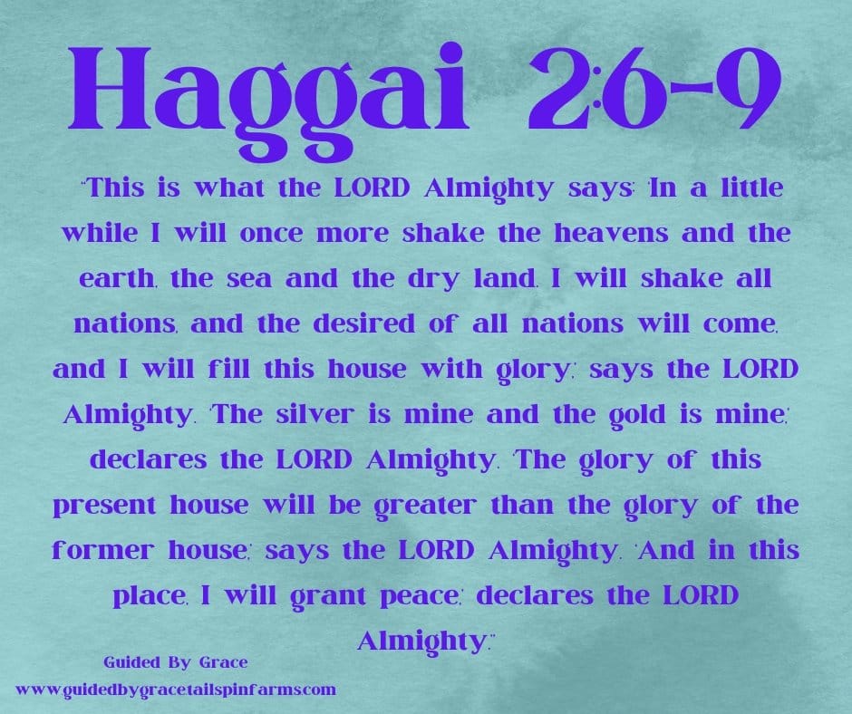 ONCE MORE SHAKE THE HEAVENS AND THE EARTH / HAGGAI 2:6-9 - Guided By Grace