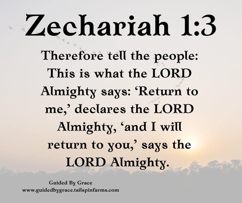 RETURN TO ME ... I WILL RETURN TO YOU / ZECHARIAH 1:3 - Guided By Grace