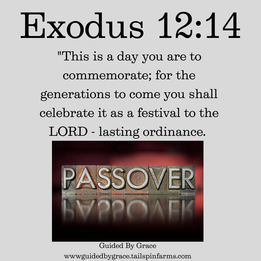 A LASTING ORDINANCE / EXODUS 12:14 - Guided By Grace