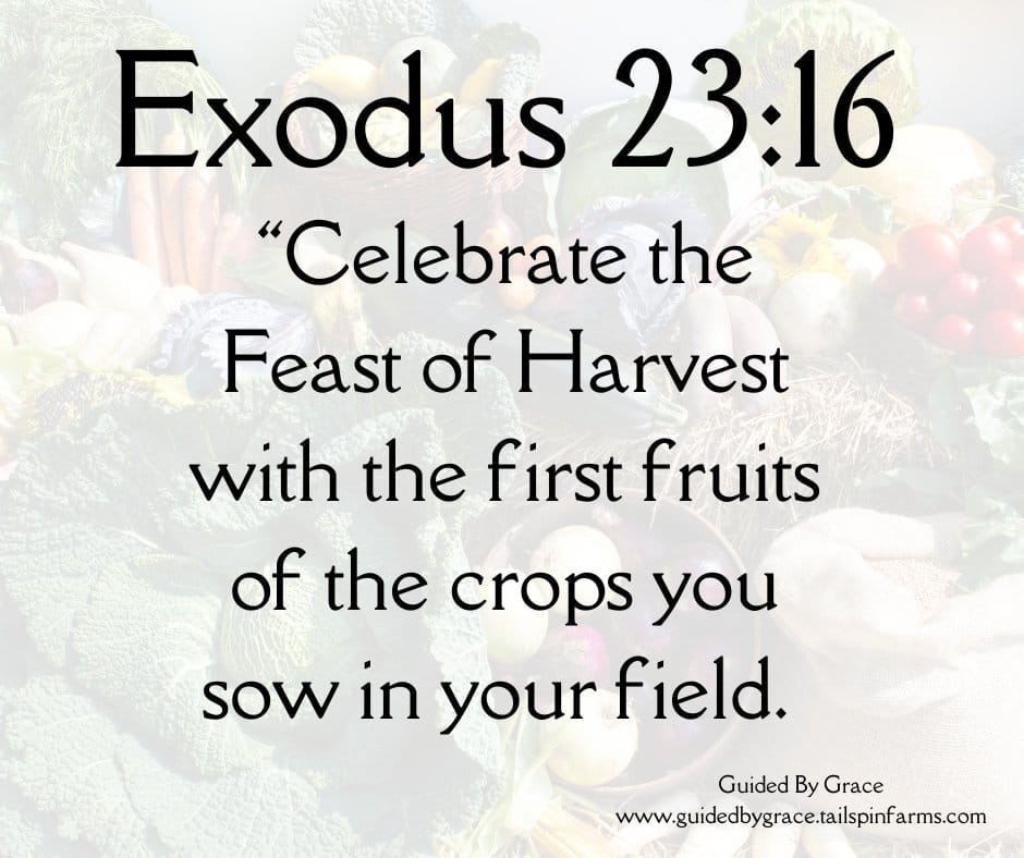 THE FEAST OF HARVEST / THE FEAST OF INGATHERING / EXODUS 23:16 - Guided ...