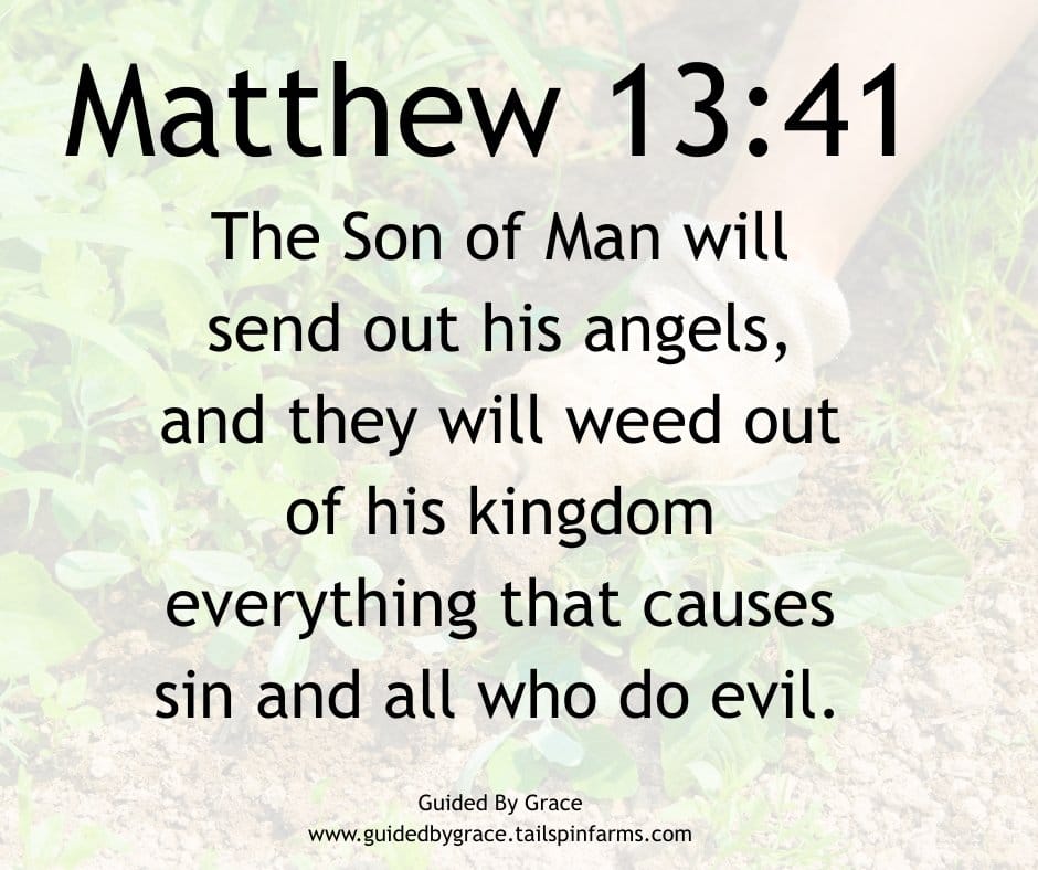 WEED OUT ... EVERYTHING THAT CAUSES SIN / MATTHEW 13:41 - Guided By Grace