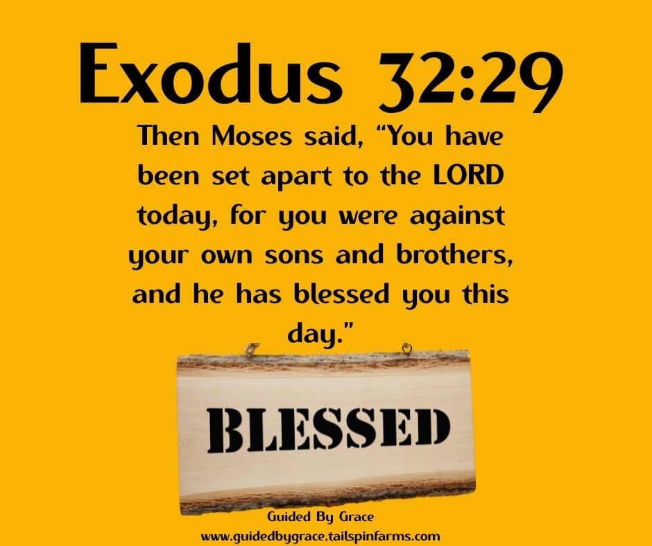 HAS BLESSED YOU / EXODUS 32:29 - Guided By Grace