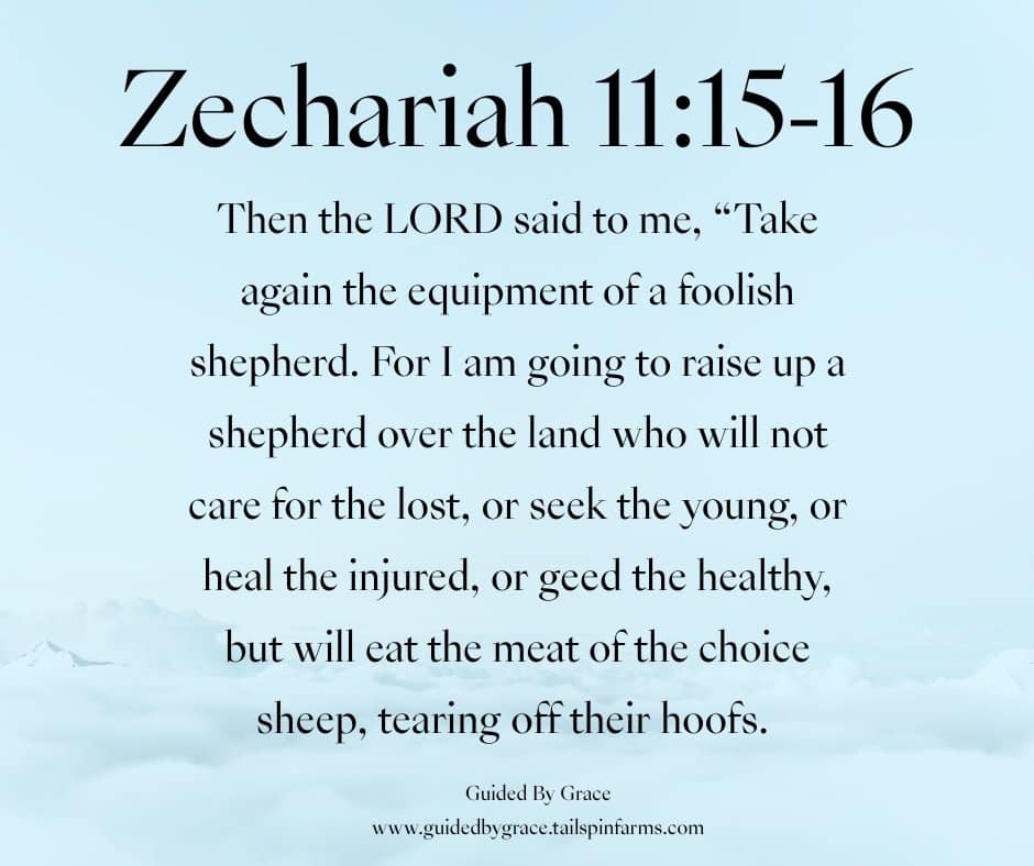 A FOOLISH SHEPHERD / ZECHARIAH 11:15-16 - Guided By Grace