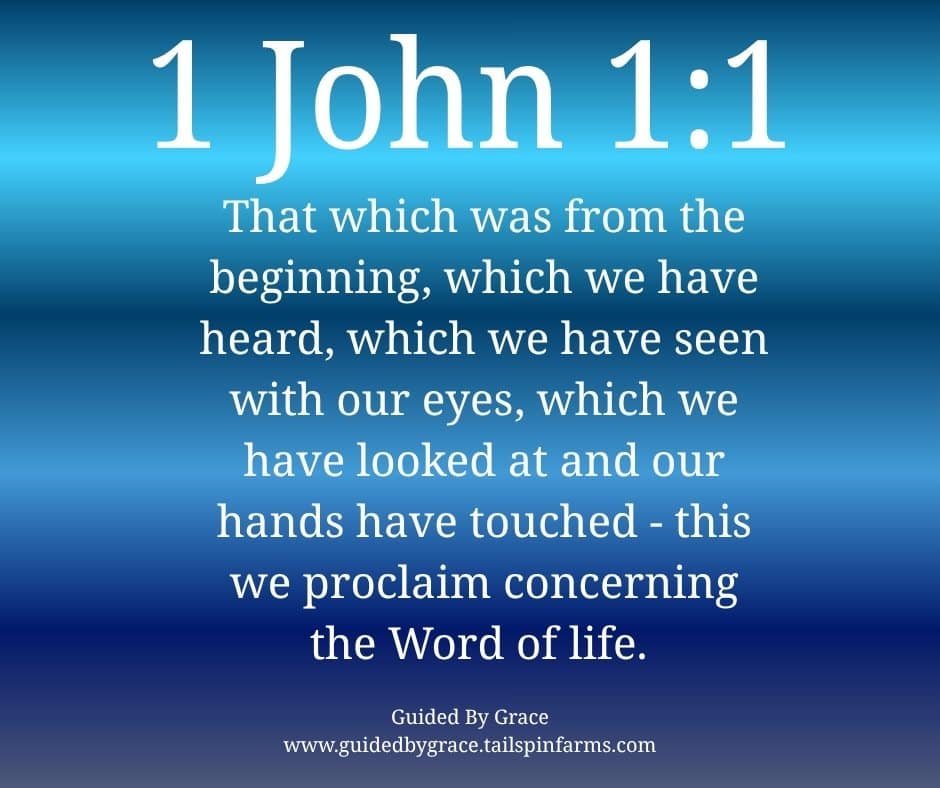 THAT WHICH WAS FROM THE BEGINNING - SEEN WITH OUR EYES OUR HAND HAVE ...