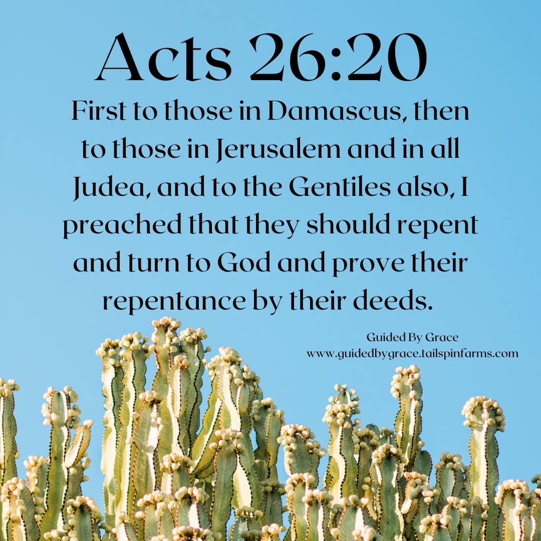 PROVE THEIR REPENTANCE BY THEIR DEEDS / ACTS 26:20 - Guided By Grace
