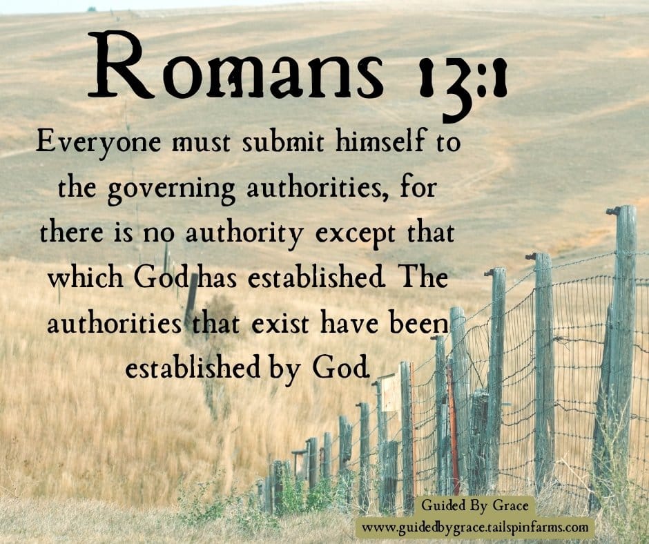SUBMIT ... TO THE GOVERNING AUTHORITIES / ROMANS 13:1 - Guided By Grace
